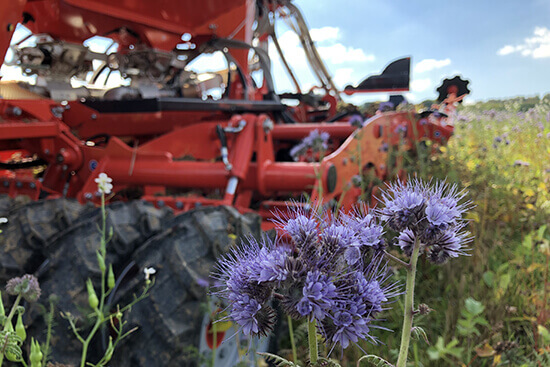 Everything you need to know about cover crops | KUHN farm machinery