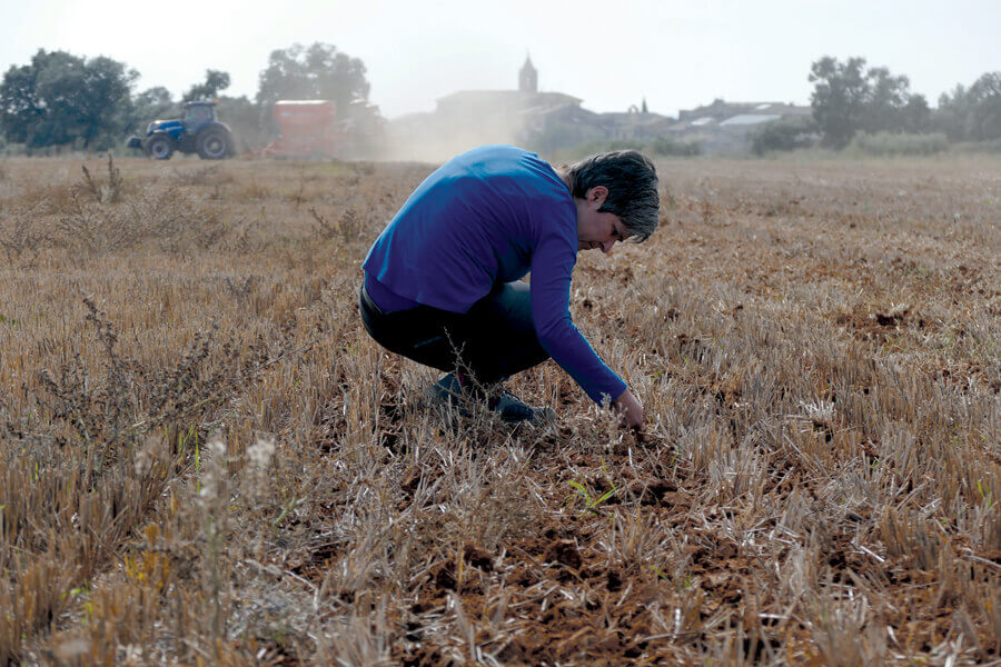 What is the difference between min-till and direct drilling? | KUHN ...