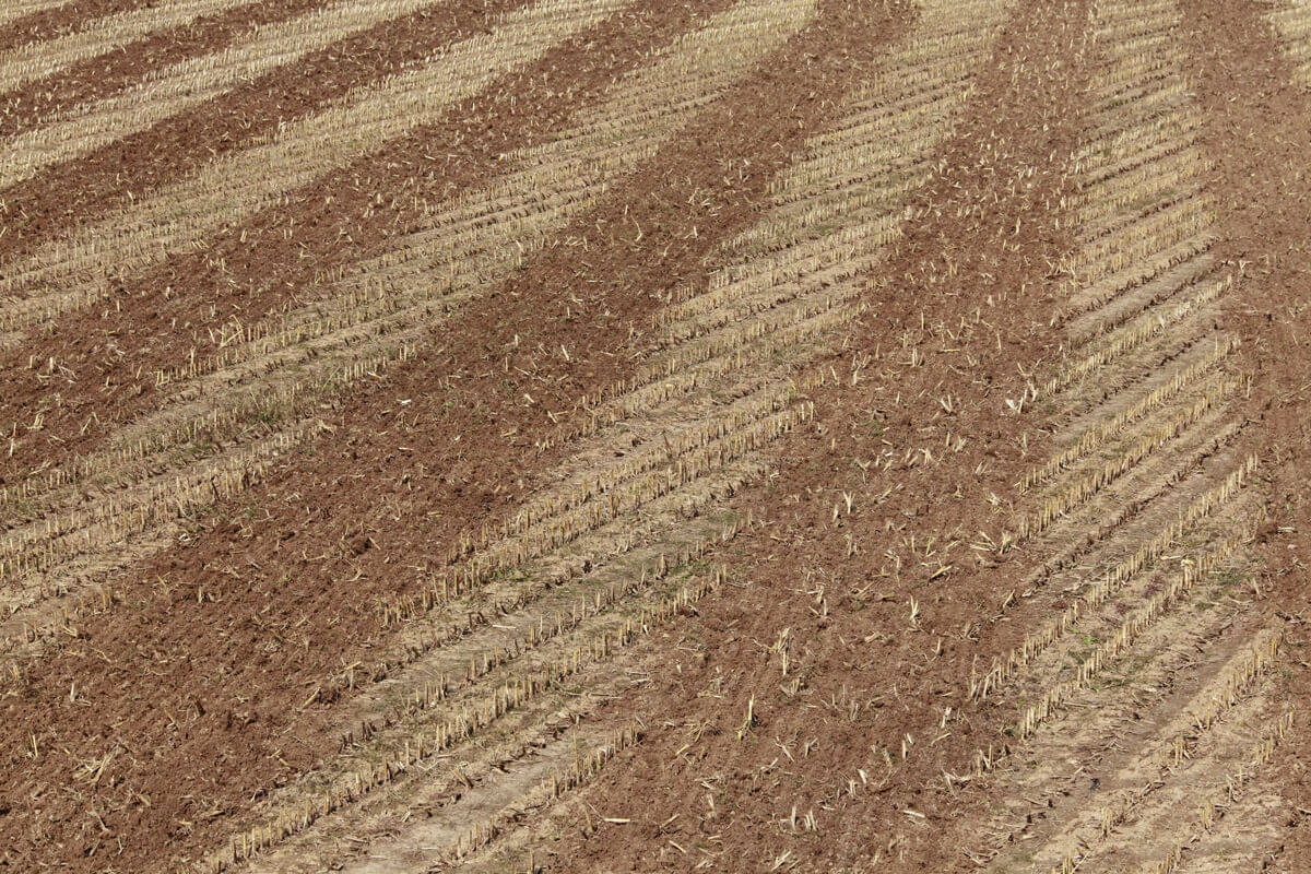 Types of minimum tillage | KUHN farm machinery