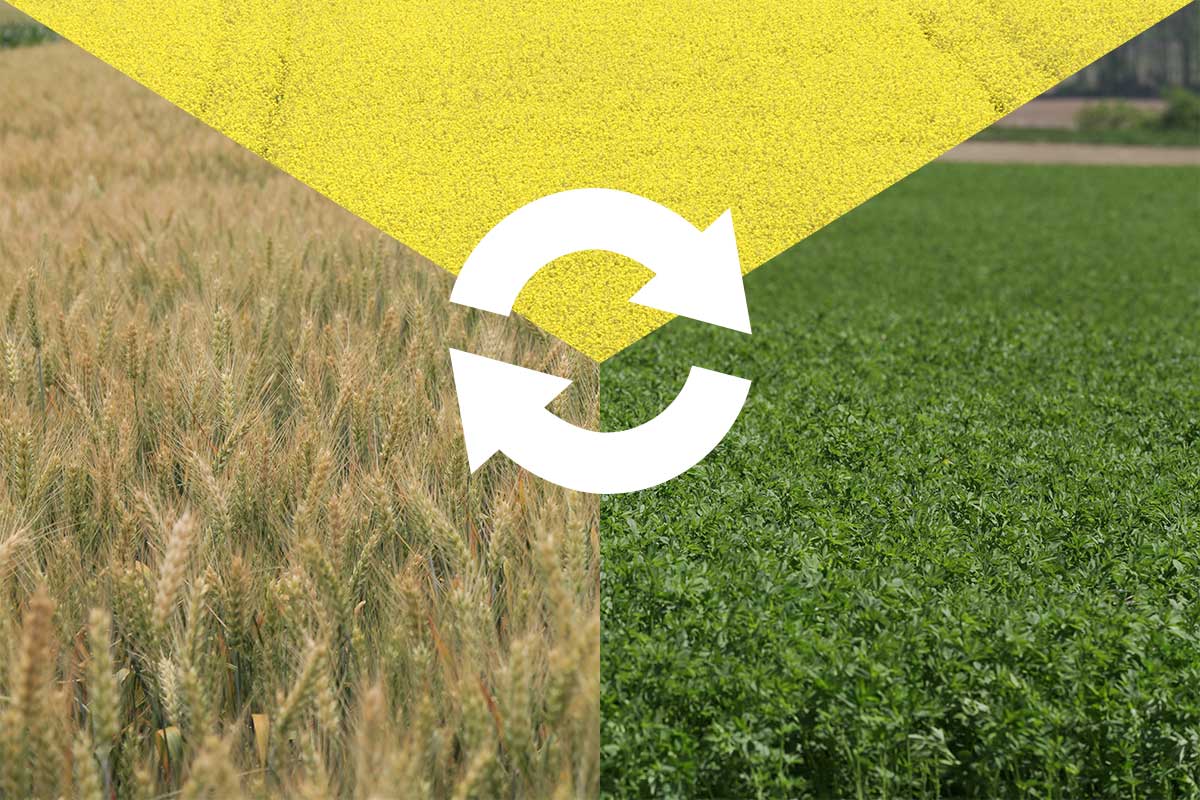 What is crop rotation? | KUHN farm machinery
